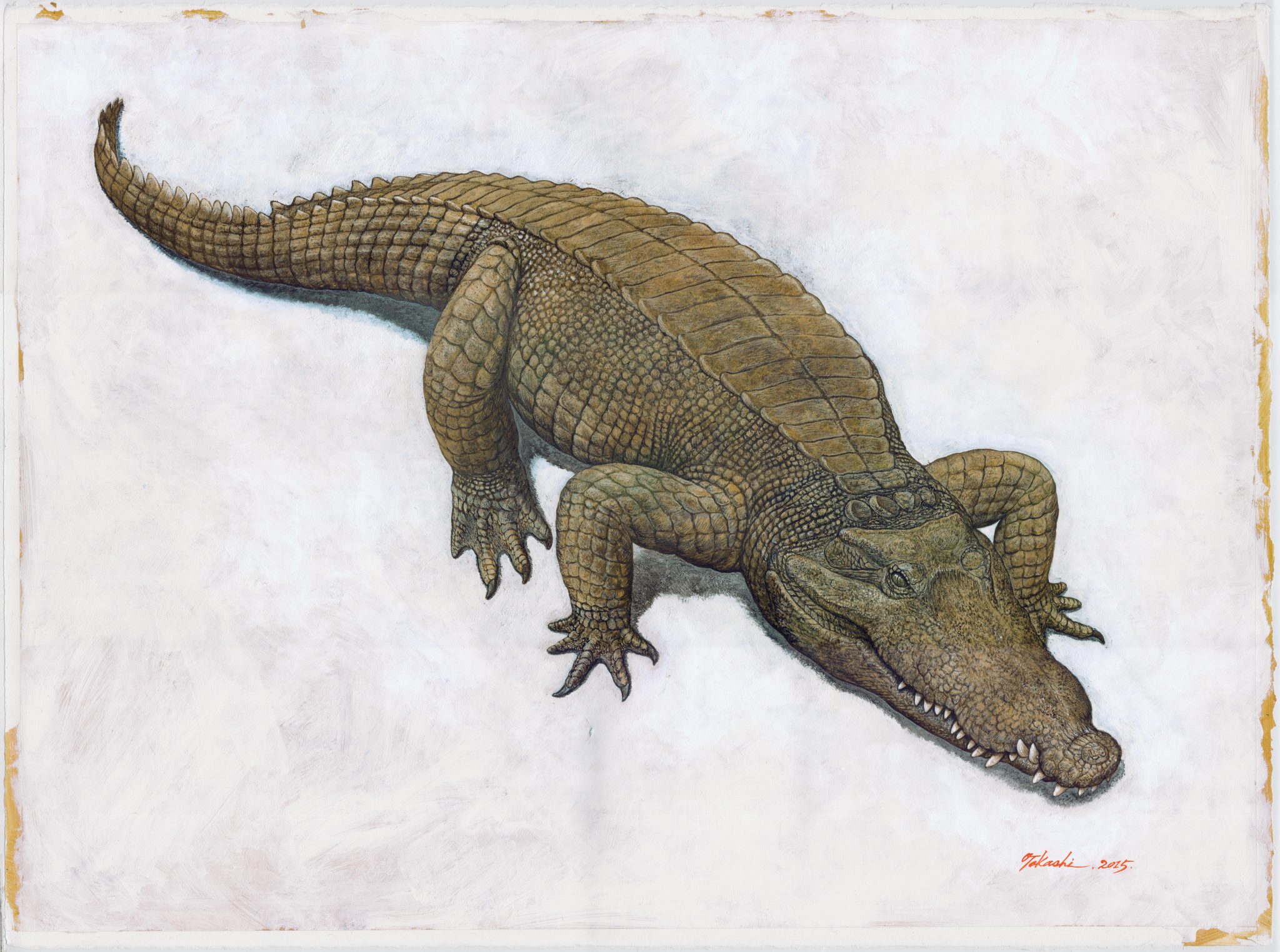 Carleton Scientist Discovers New Ancient Crocodile Relative - Faculty ...