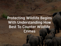 Faculty of Science | Carleton University